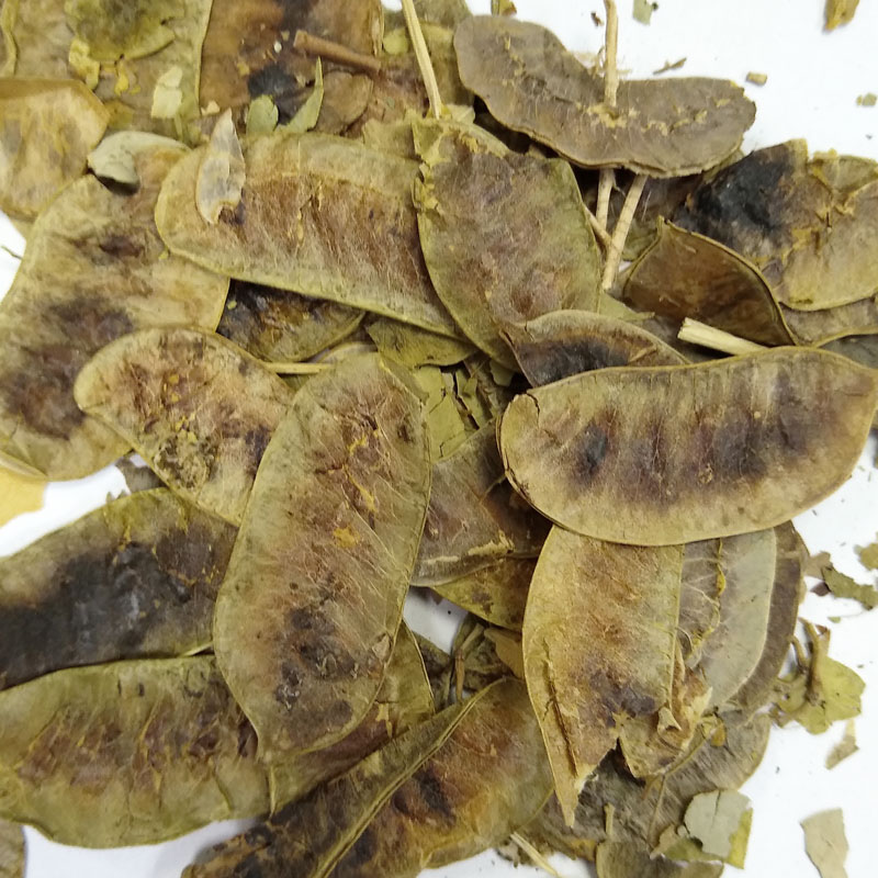 Senna Pods (Cassia angustifolia)